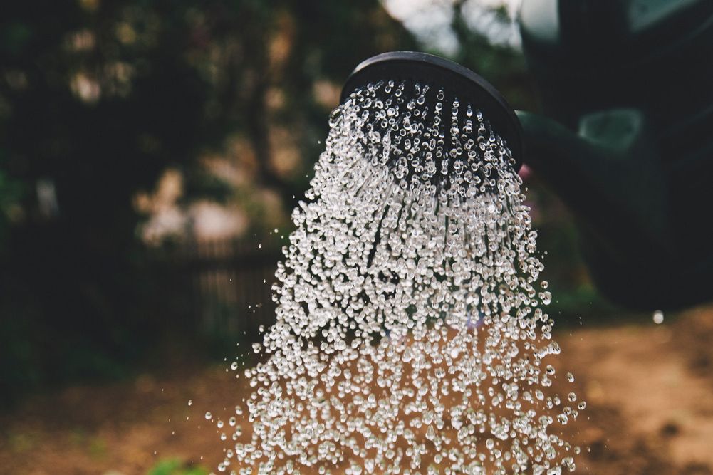Wasser sparen beim Gießen: die 7 besten Tipps | Hauert MANNA